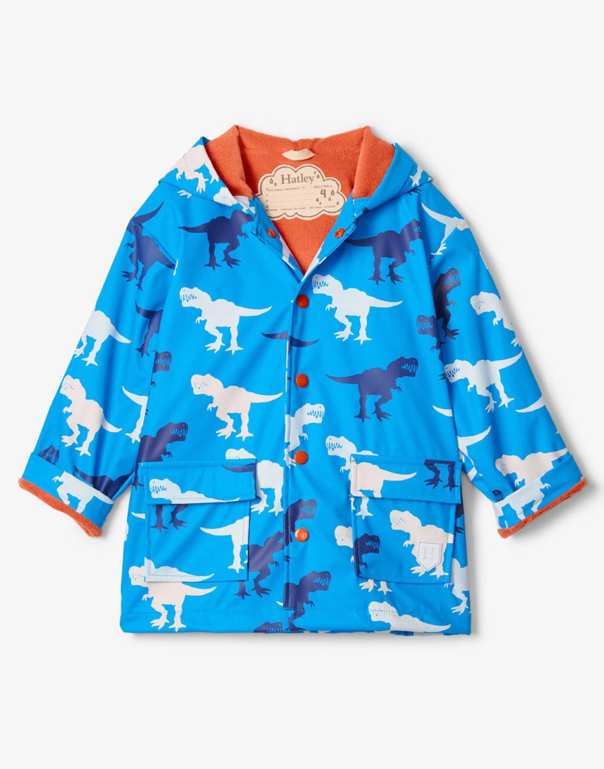 PREHISTORIC DINOS COLOR CHANGING RAINCOAT – MiMi Kids